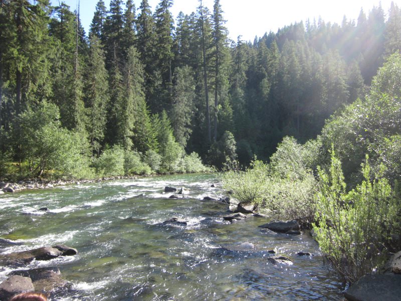 Raab Campground Oregon - Clackamas River, Collawash River, Mount Hood ...