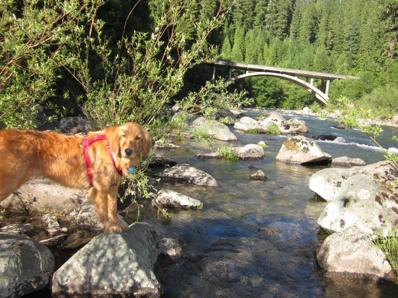 Raab Campground Oregon - Clackamas River, Collawash River, Mount Hood ...