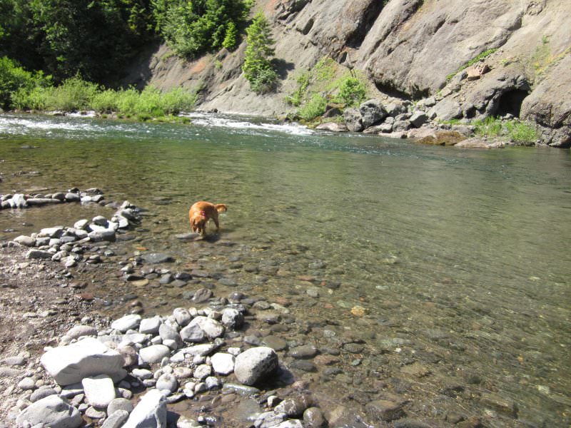 Raab Campground Oregon - Clackamas River, Collawash River, Mount Hood ...