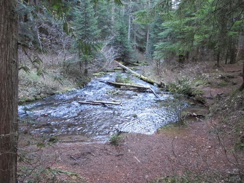 Still Creek Campground - Mount Hood National Forest, Oregon