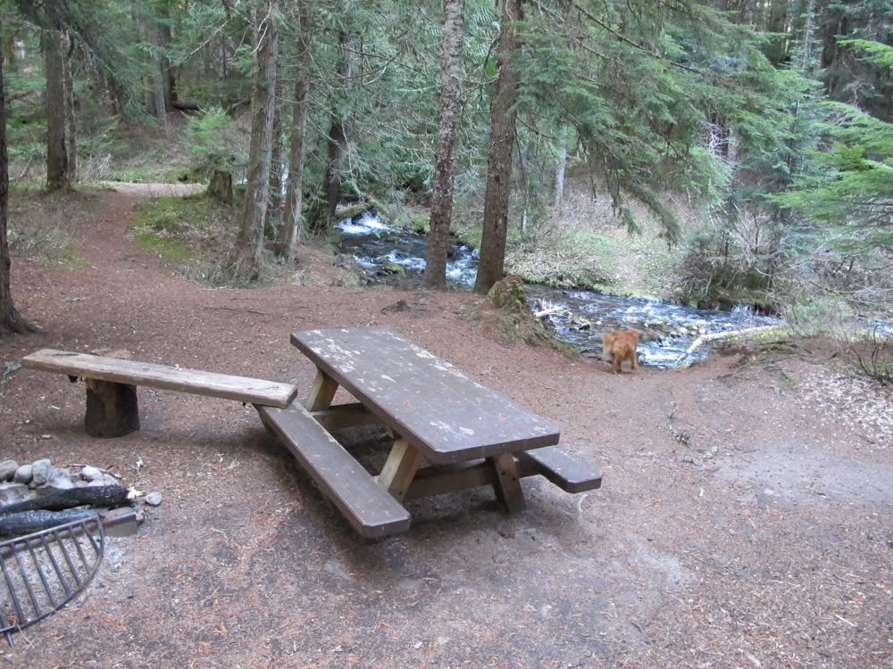Still Creek Campground - Mount Hood National Forest, Oregon
