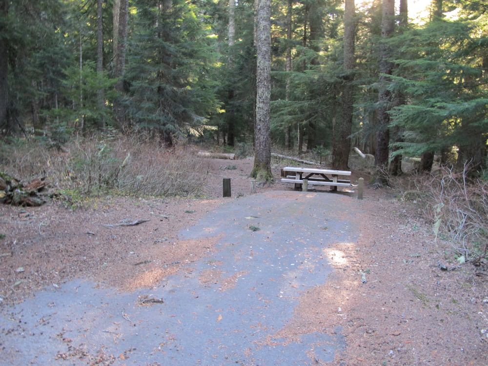 Still Creek Campground - Mount Hood National Forest, Oregon