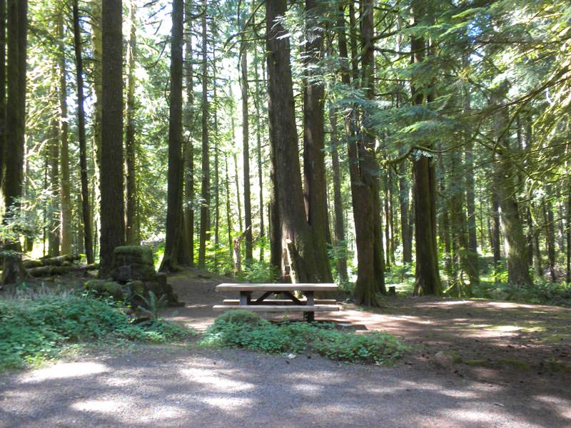 Tollgate Campground - Mt Hood National Forest