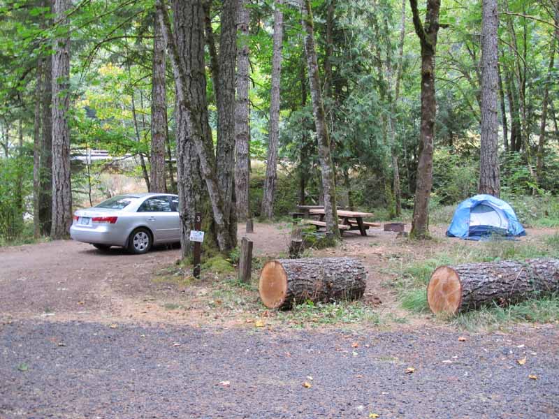 Carter Bridge Campground, Clackamas River, Oregon - Mt. Hood National ...