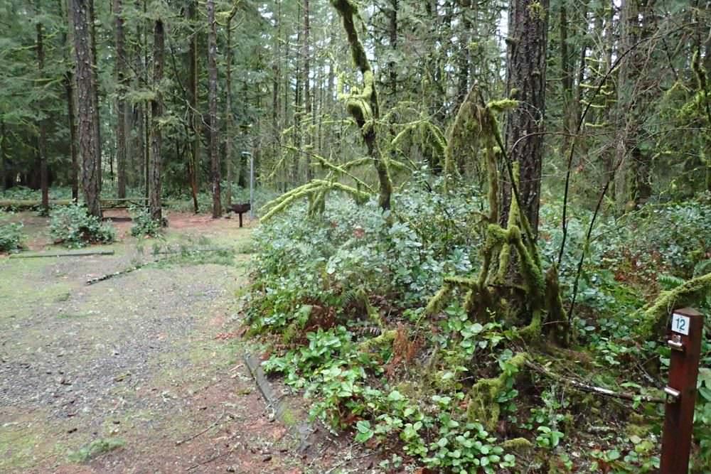 Oxbow Regional Park Campground | Gresham, Oregon