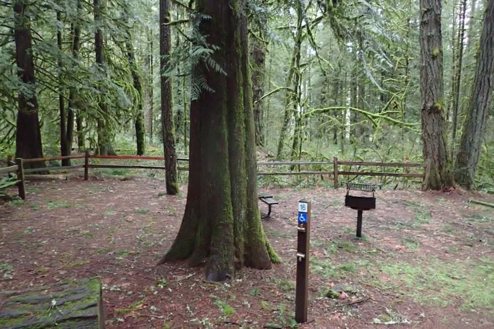 Oxbow Regional Park Campground | Gresham, Oregon