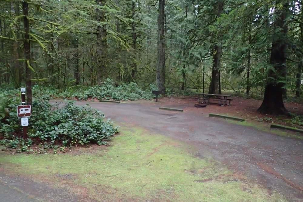 Oxbow Regional Park Campground | Gresham, Oregon