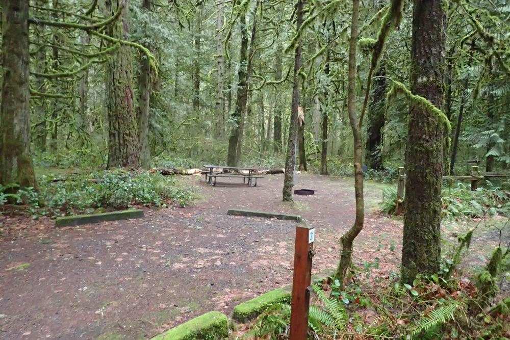 Oxbow Regional Park Campground | Gresham, Oregon