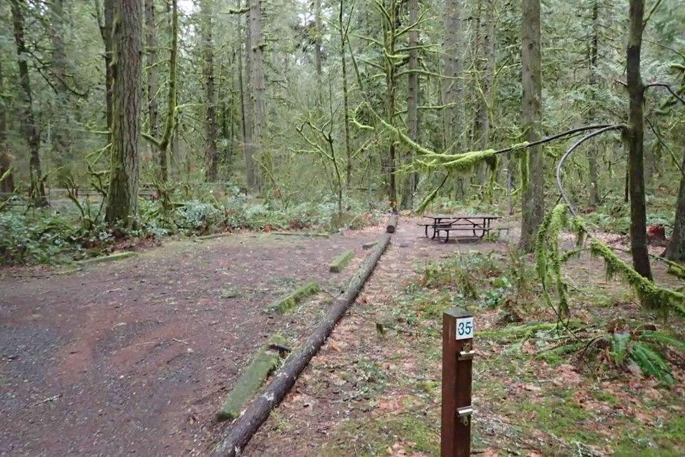 Oxbow Regional Park Campground | Gresham, Oregon