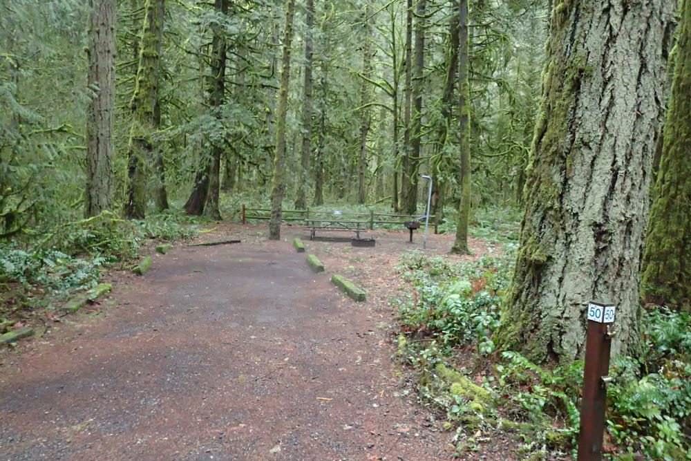 Oxbow Regional Park Campground | Gresham, Oregon