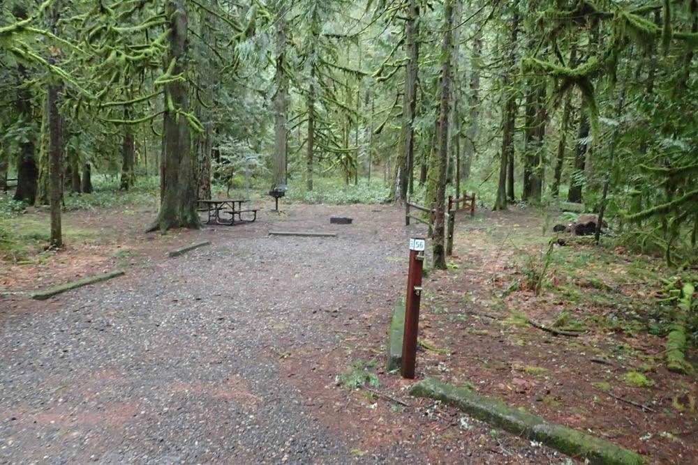 Oxbow Regional Park Campground | Gresham, Oregon