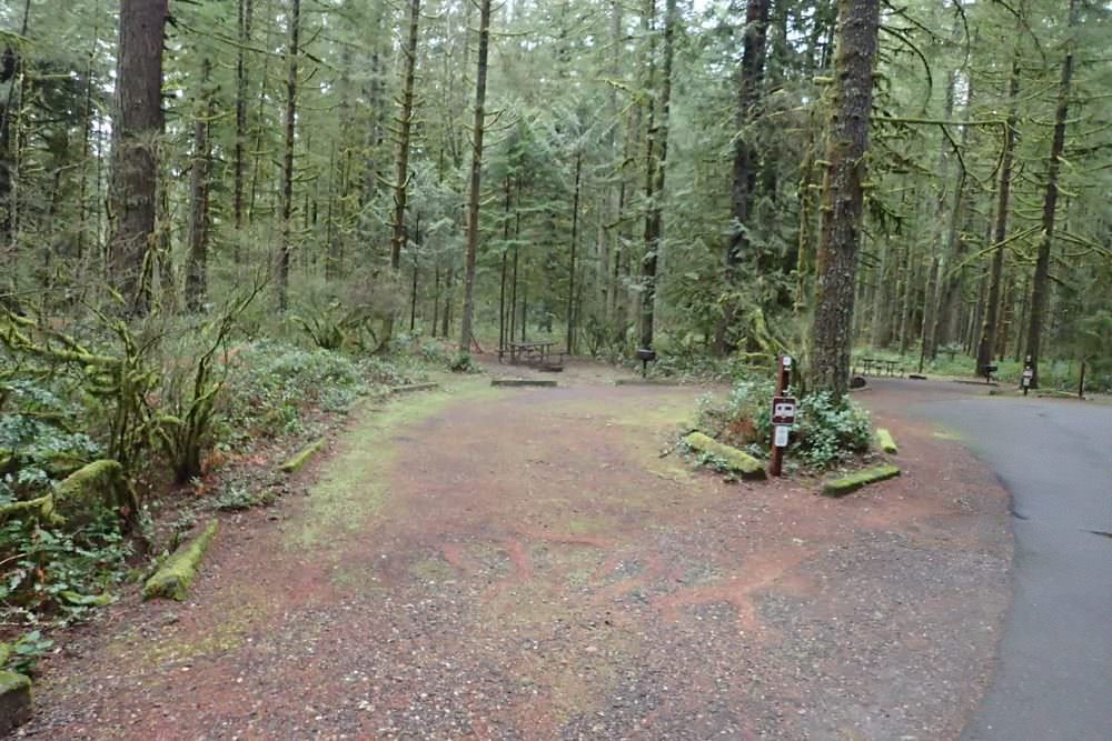 Oxbow Regional Park Campground | Gresham, Oregon