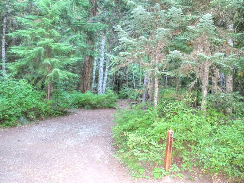 Frog Lake Campground Oregon - Mount Hood