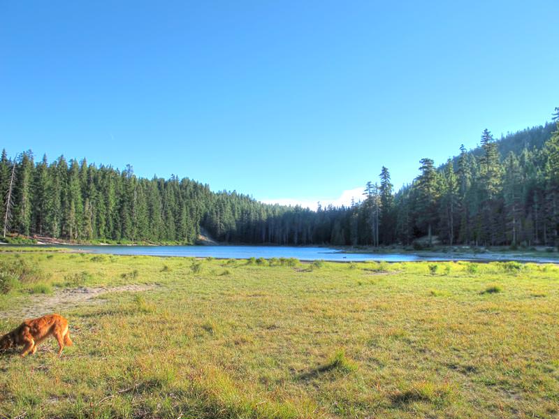 Frog Lake Campground Oregon - Mount Hood
