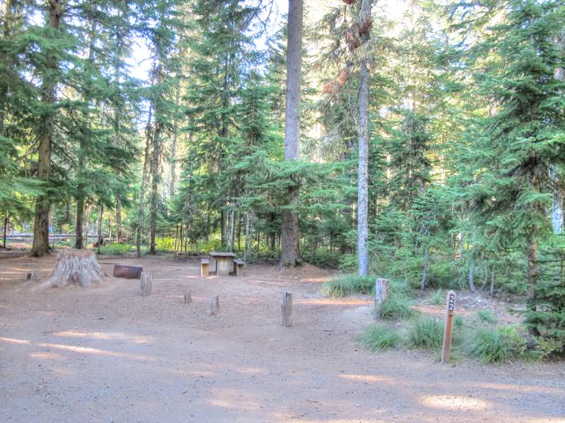Frog Lake Campground Oregon - Mount Hood