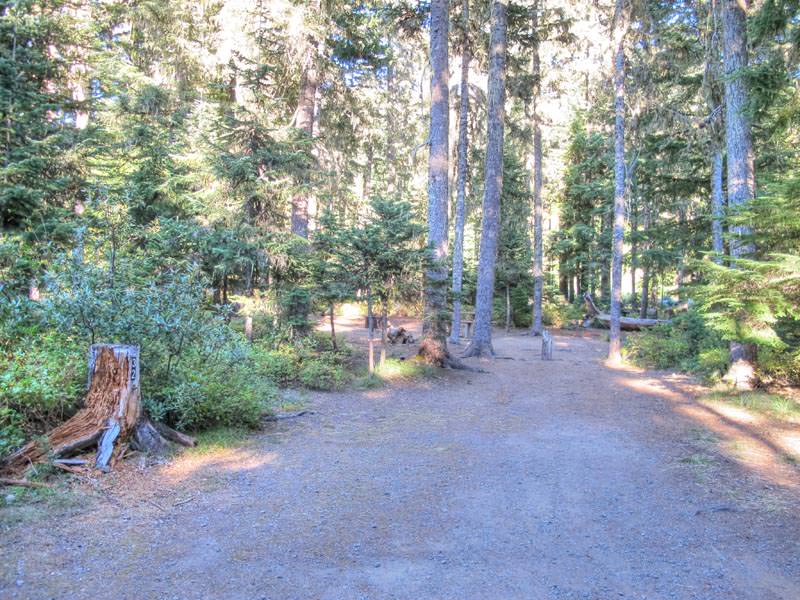 Frog Lake Campground Oregon - Mount Hood