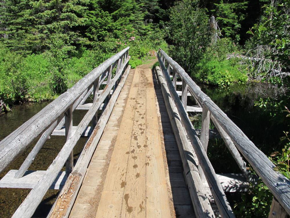 North Arm Timothy Lake - Muddy Camper