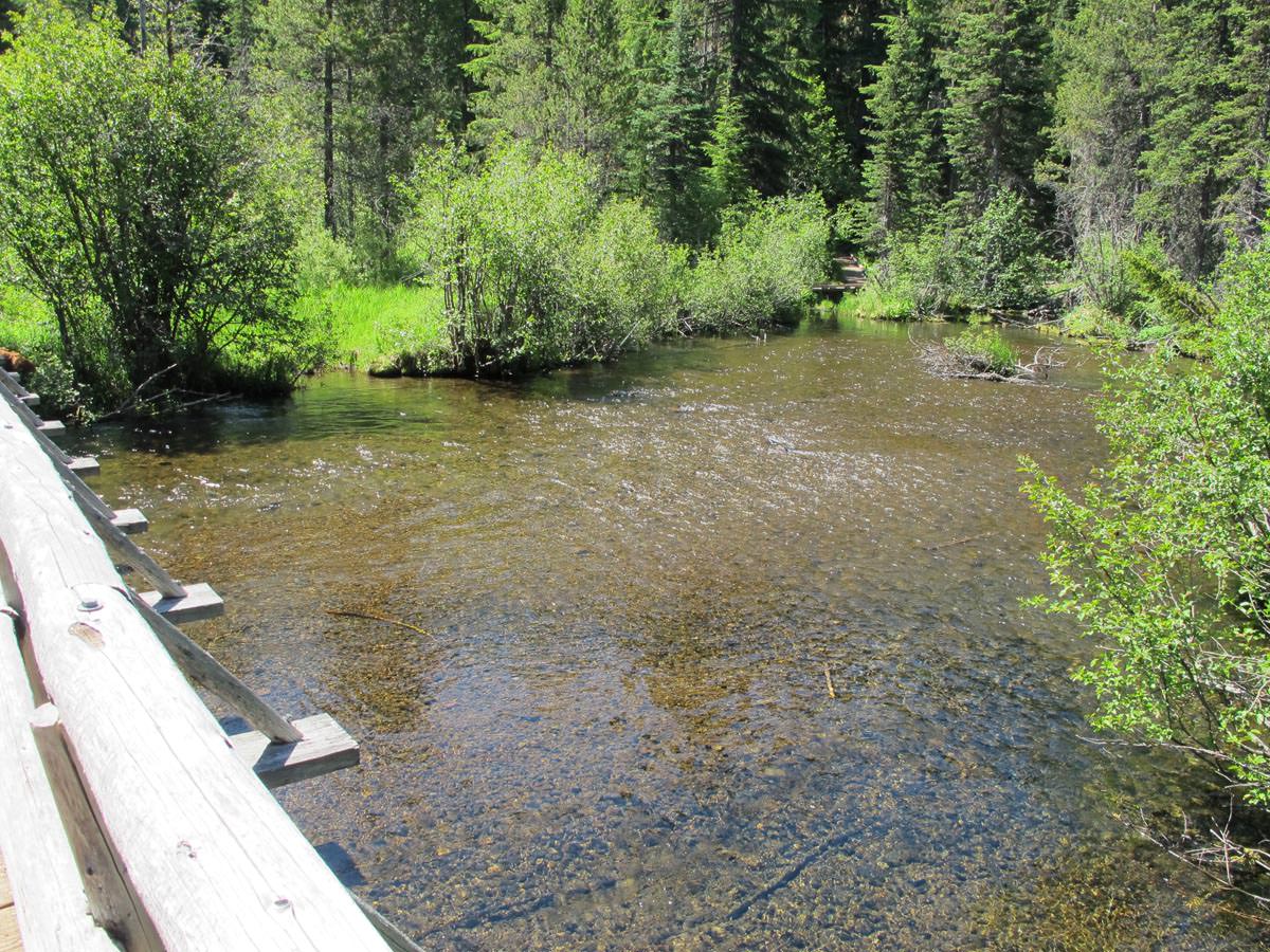 North Arm Timothy Lake - Muddy Camper