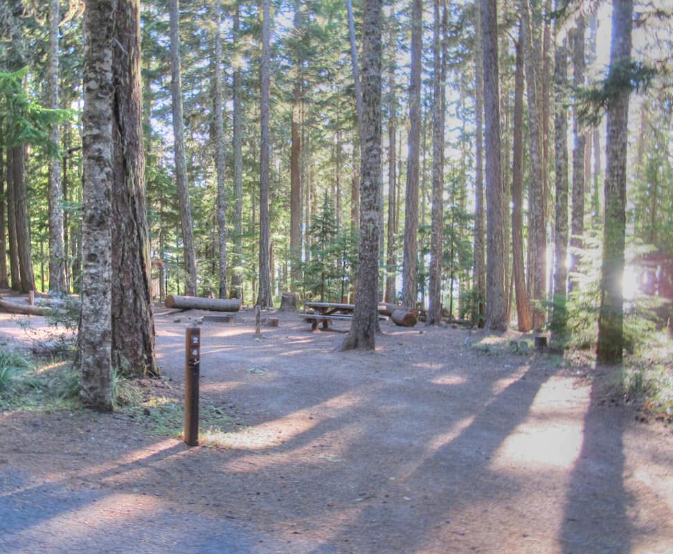 Clear Lake Campground, Mt. Hood - Oregon