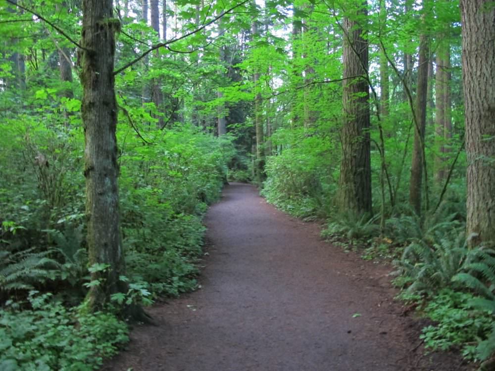 Tryon Creek State Park - Muddy Camper