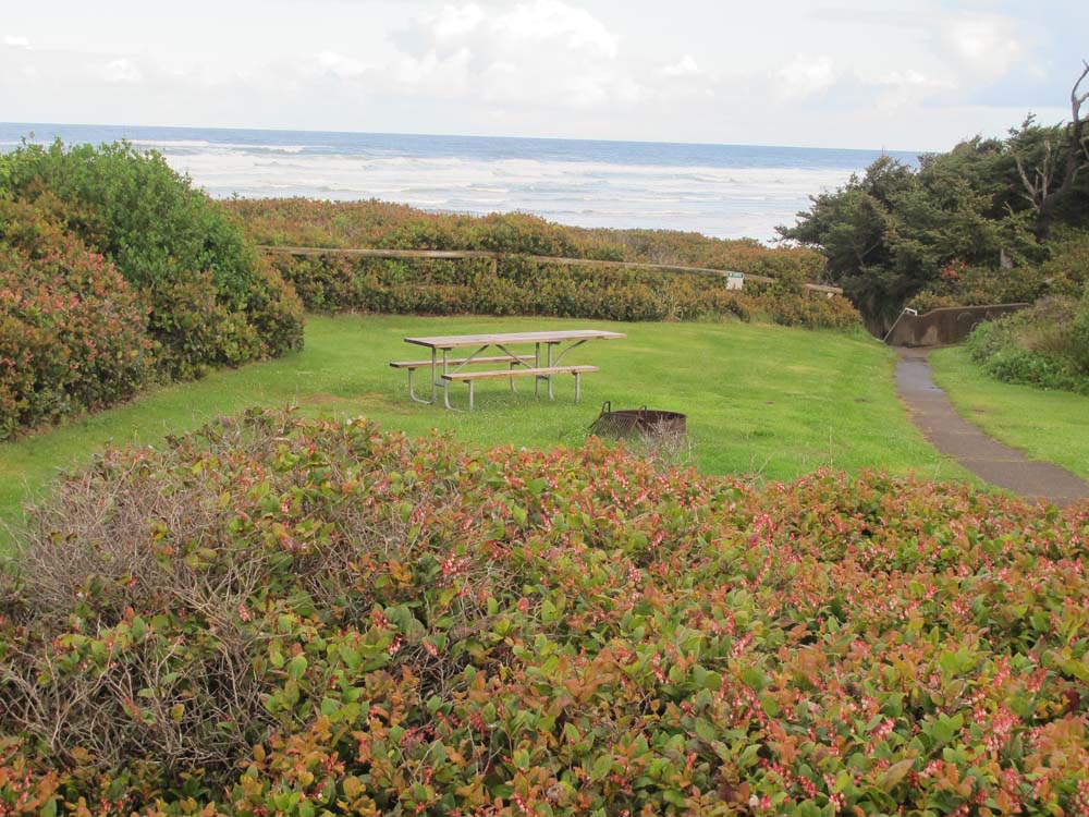 Tillicum Beach Campground - Oregon Coast