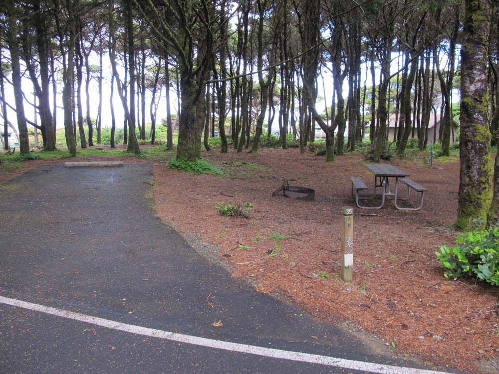 Tillicum Beach Campground - Oregon Coast