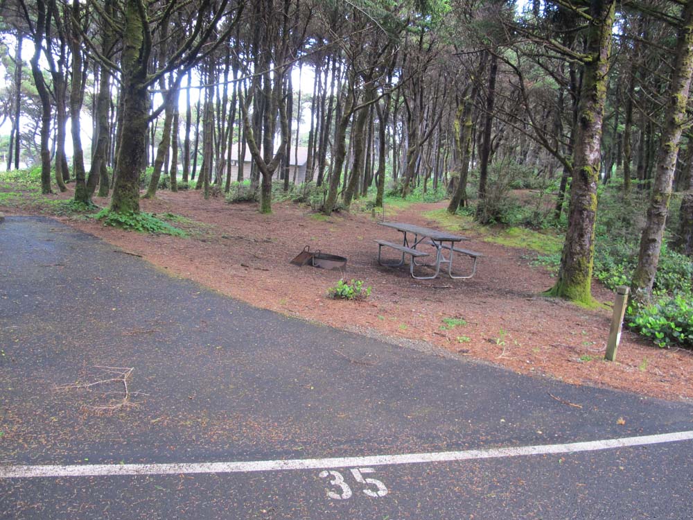 Tillicum Beach Campground - Oregon Coast