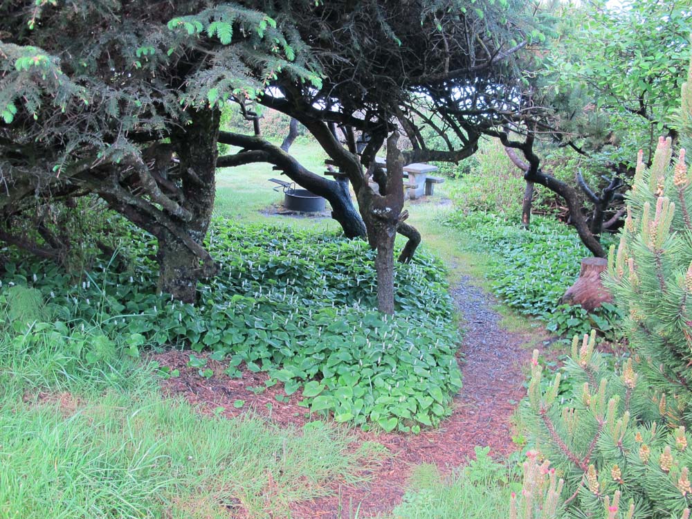 Tillicum Beach Campground - Oregon Coast