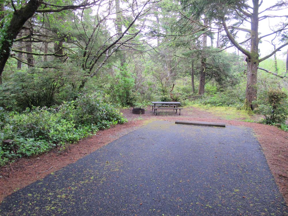 Tillicum Beach Campground - Oregon Coast