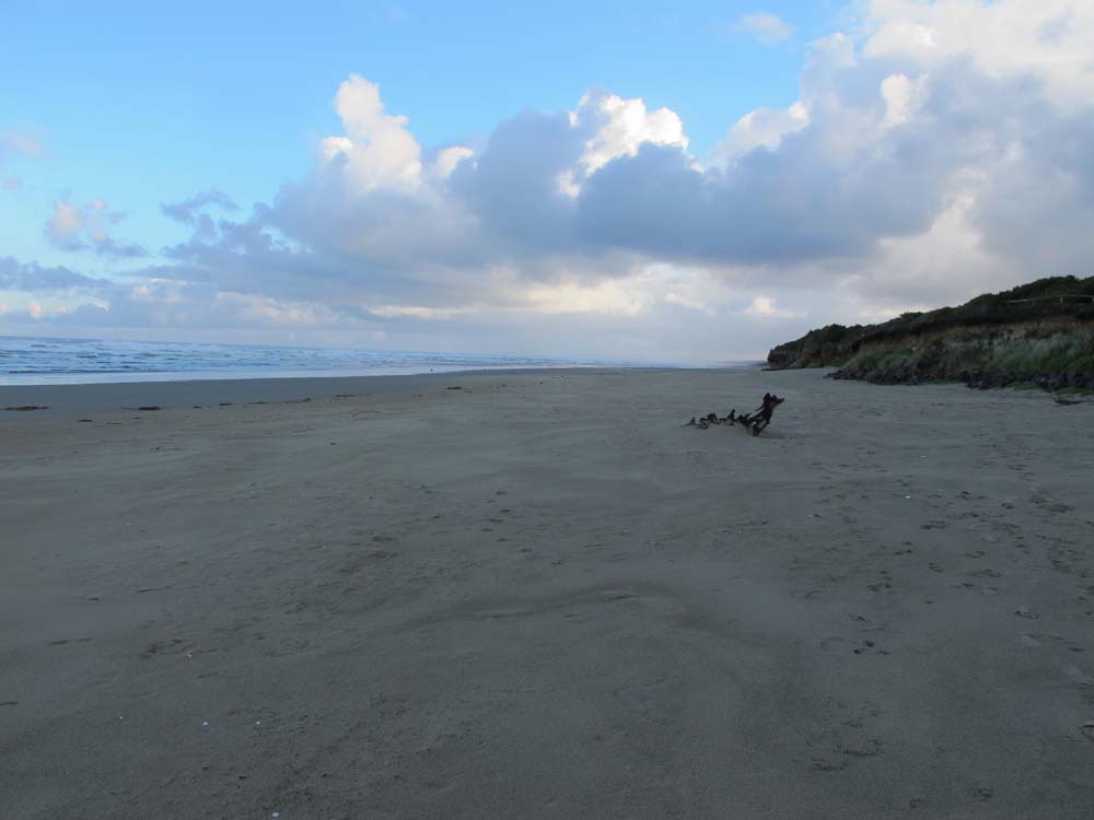Tillicum Beach Campground - Oregon Coast