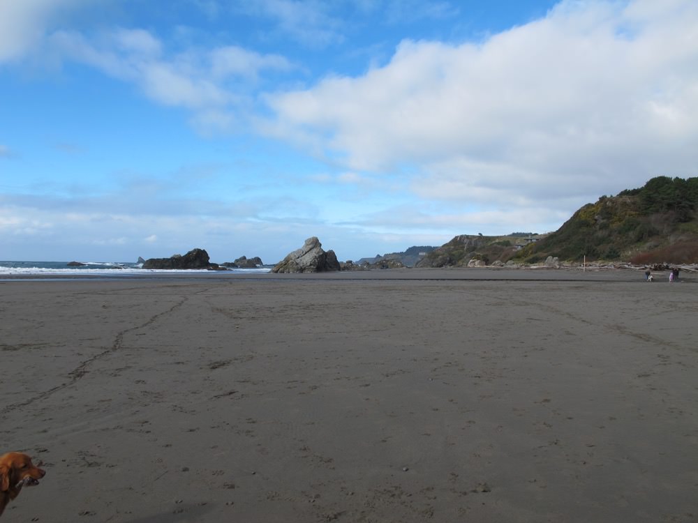 Harris Beach State Park Campground - Brookings, Oregon