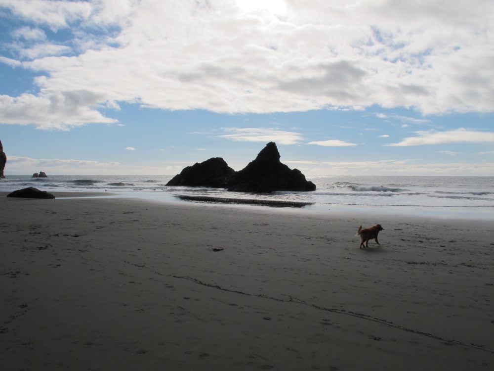 Harris Beach State Park Campground - Brookings, Oregon