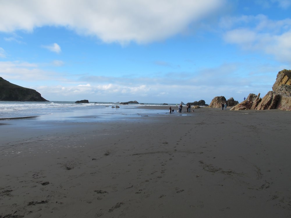 Harris Beach State Park Campground - Brookings, Oregon