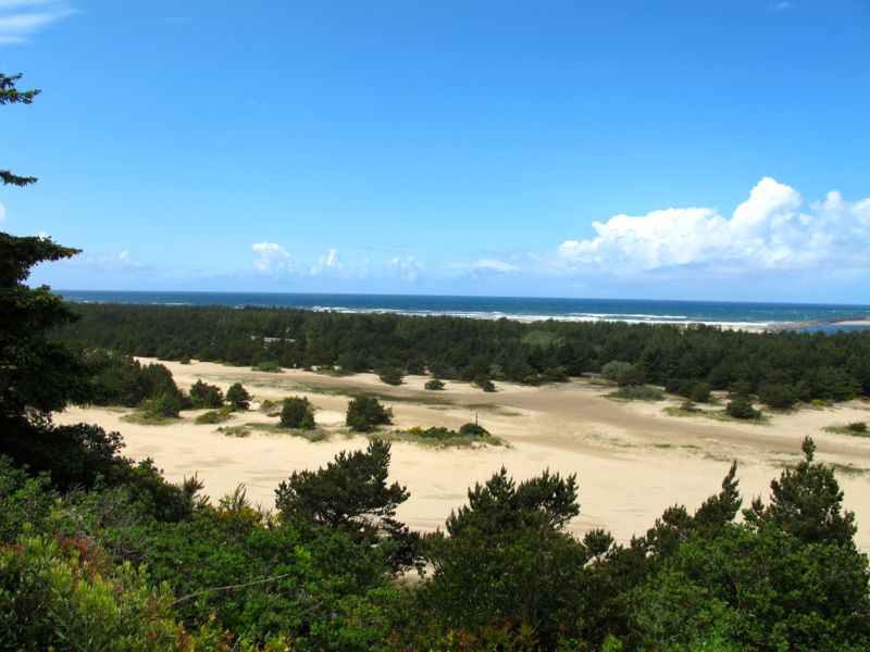 Half Moon Bay Campground, Oregon Dunes - Reedsport