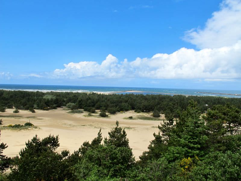 Half Moon Bay Campground, Oregon Dunes - Reedsport