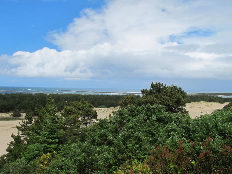 Half Moon Bay Campground, Oregon Dunes - Reedsport