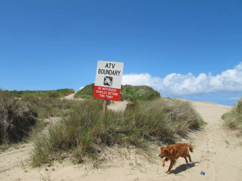 Half Moon Bay Campground, Oregon Dunes - Reedsport