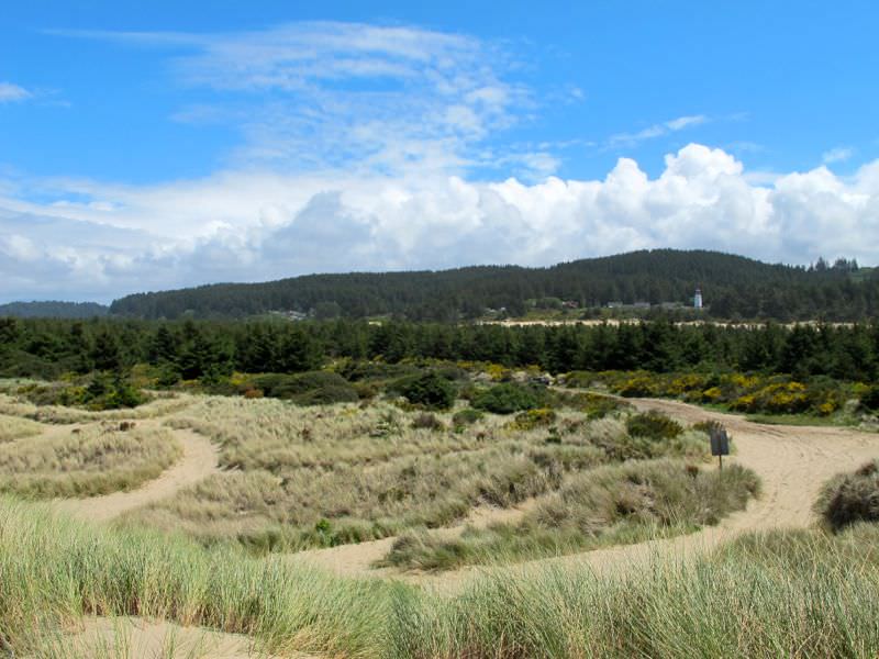 Half Moon Bay Campground, Oregon Dunes - Reedsport