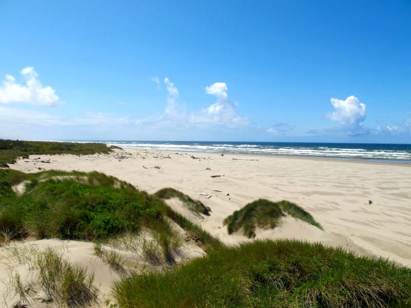 Half Moon Bay Campground, Oregon Dunes - Reedsport