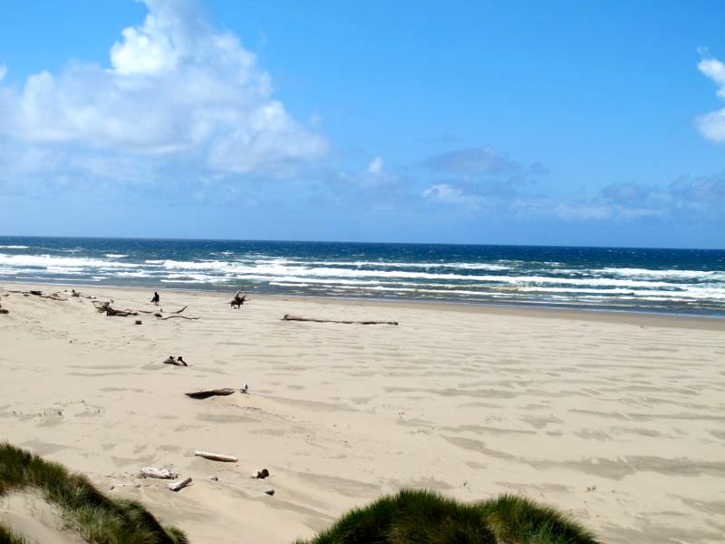 Half Moon Bay Campground, Oregon Dunes - Reedsport