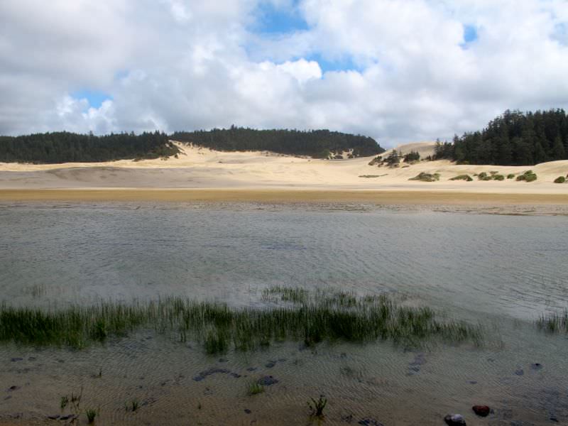 Half Moon Bay Campground, Oregon Dunes - Reedsport