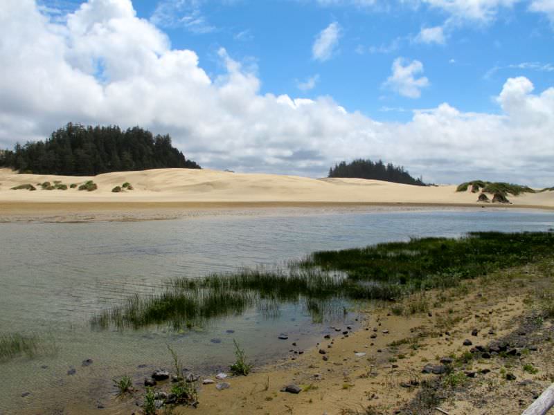 Half Moon Bay Campground, Oregon Dunes - Reedsport