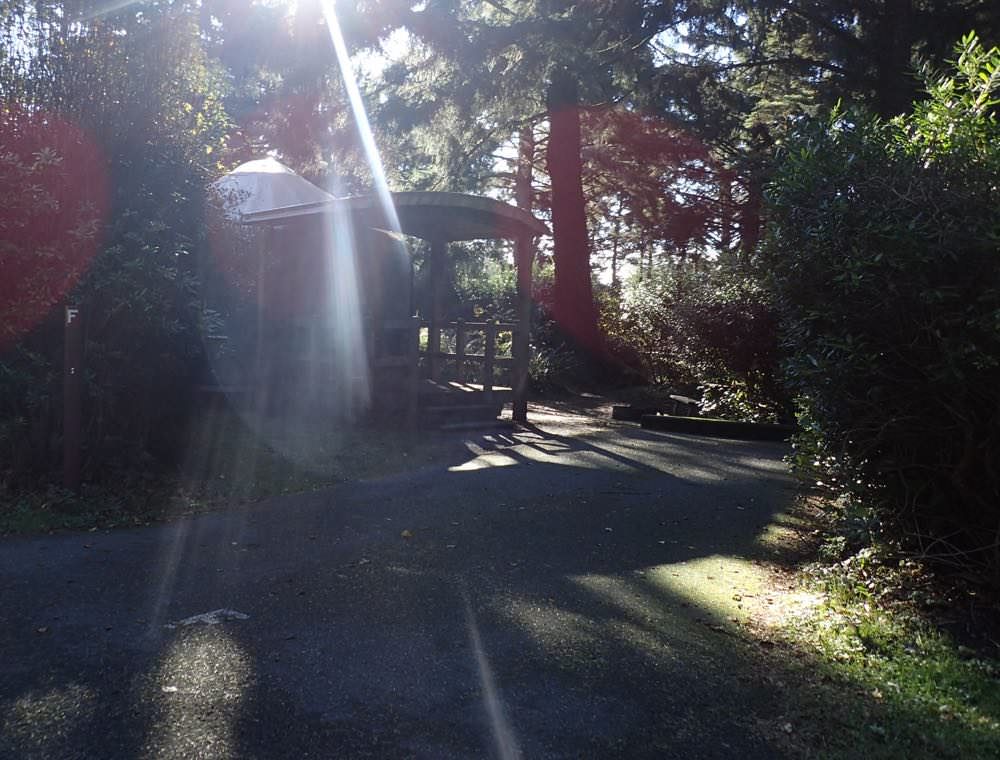 Sunset Bay State Park and Campground - Coos Bay, Oregon