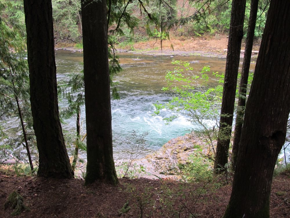 Lockaby Campground - Clackamas River Camping, Oregon