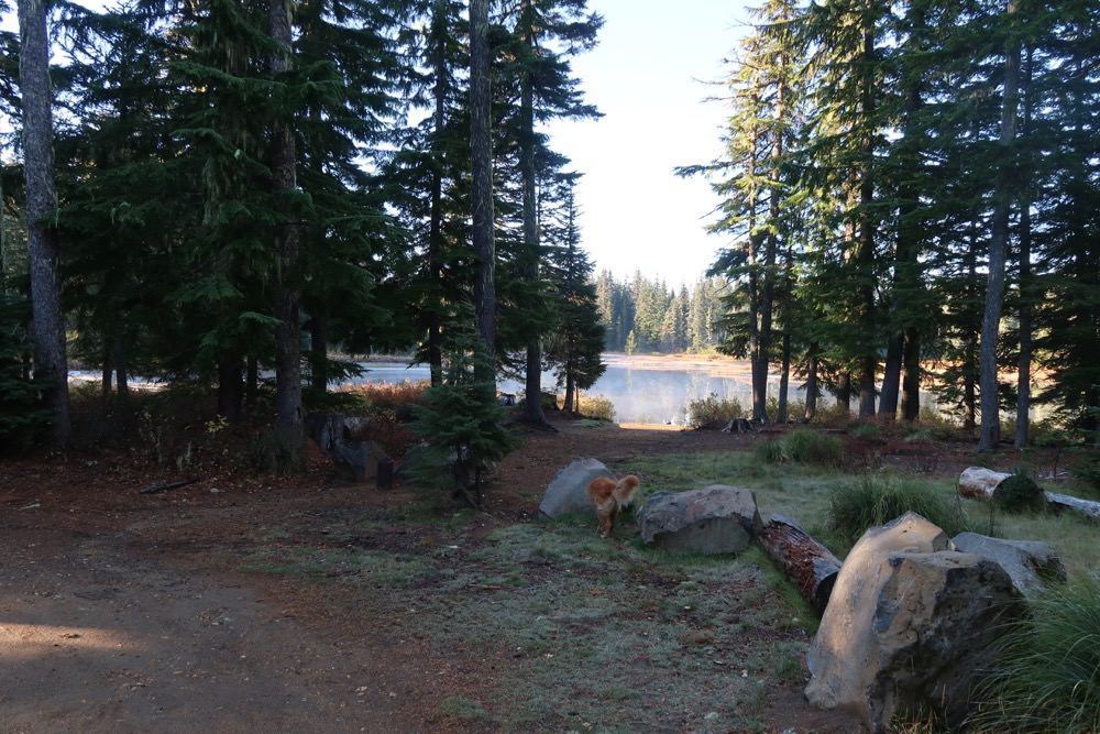 Forlorn Lakes Campground - Gifford Pinchot National Forest, Washington