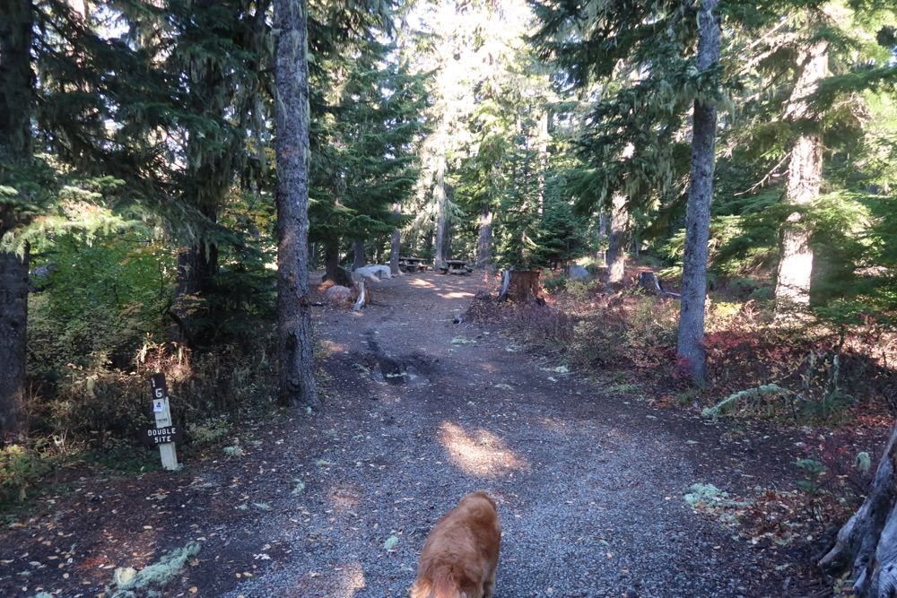 Forlorn Lakes Campground - Gifford Pinchot National Forest, Washington