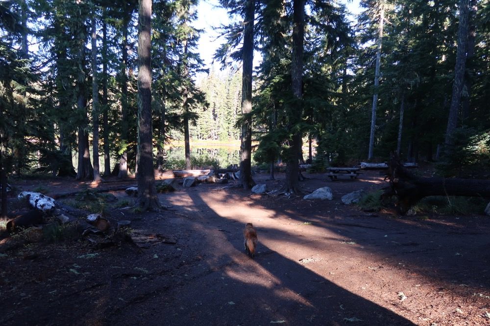 Forlorn Lakes Campground - Gifford Pinchot National Forest, Washington