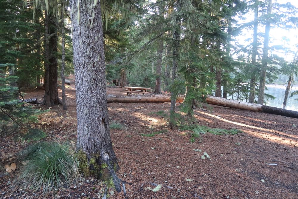 Forlorn Lakes Campground - Gifford Pinchot National Forest, Washington