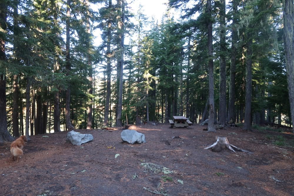 Forlorn Lakes Campground - Gifford Pinchot National Forest, Washington