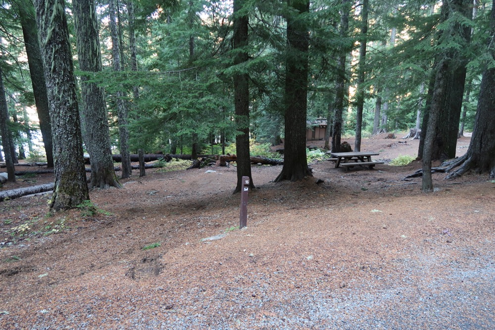 Goose Lake Campground - Gifford Pinchot National Forest, Washington